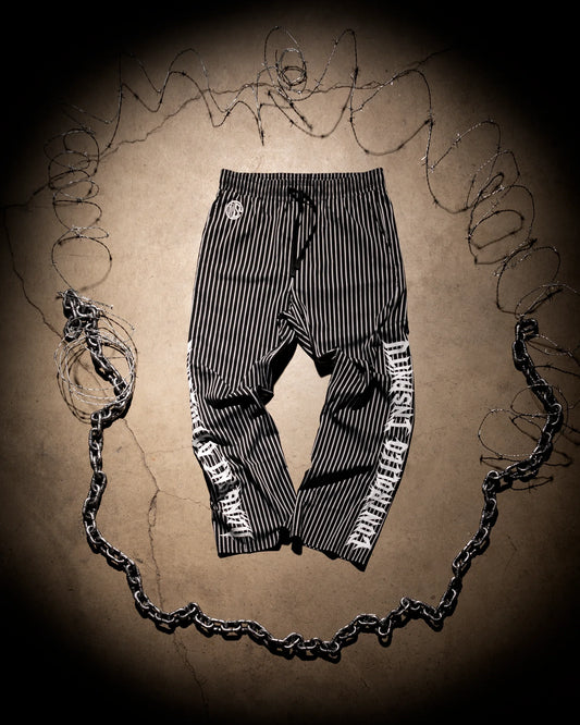 Controlled Insanity – FITBROS