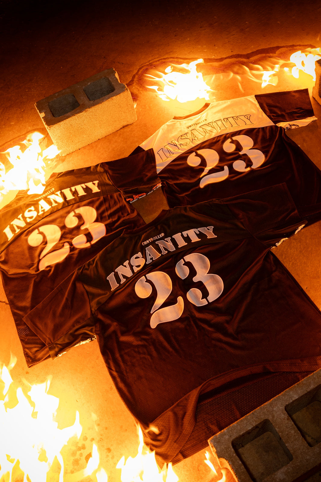 Controlled Insanity – FITBROS