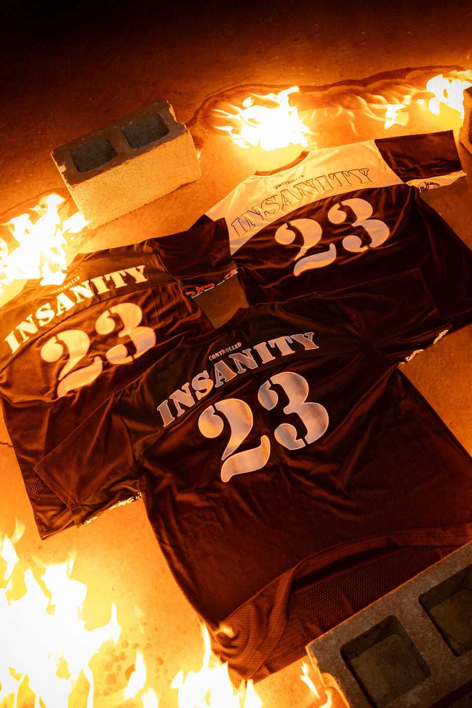 Controlled Insanity – FITBROS